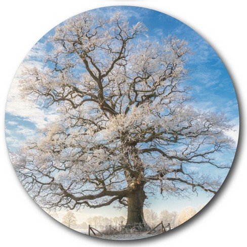 Courtside Market Global Wonders Photography Collection, Beautiful White ...
