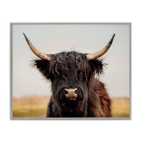 Stupell Industries Black Highland Cow Portrait, 20" X 16" : Target