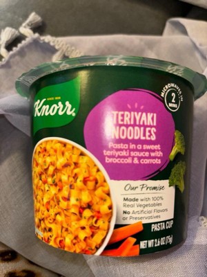 Knorr Teriyaki Noodles Pasta Cup 2.6oz : Target