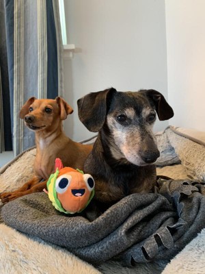 Bark Eduardo The Shrimp Taco Dog Toy : Target