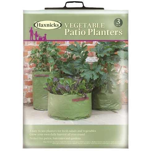 Tierra Garden Vegetable Patio Planter 3pk : Target