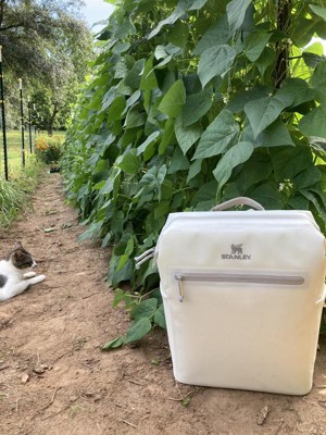 Stanley 20 Cans/14.8qt All Day Madeleine Midi Backpack Cooler - Jet ...