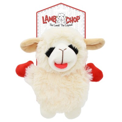 Zippypaws Zingy Raccoon Dog Toy : Target