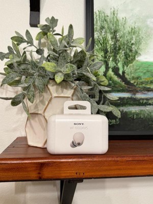 Sony Wf1000xm5/b True Wireless Bluetooth Noise-canceling Earbuds ...
