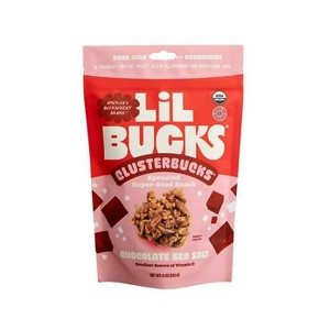 Lil Bucks Organic Chocolate Sea Salt Clusterbucks Granola - 6oz : Target