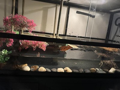 Reptizoo 50gallon Large Turtle Tank Aquarium, 36"×18"×18" Tortoise ...