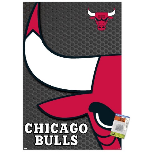 Trends International Nba Chicago Bulls - Logo 14 Unframed Wall Poster ...