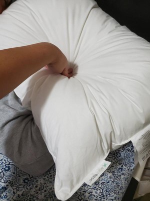 Standard Reserve Cotton Fresh Pillow White - Allerease : Target