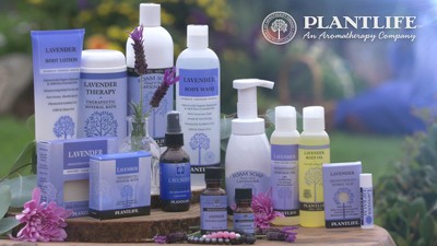 Plantlife Aromatherapy Bracelet - Turquoise Square Stretch, Lava Rock ...