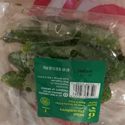 Mini Cucumbers - 16oz Bag - Good & Gather™ (packaging May Vary) : Target
