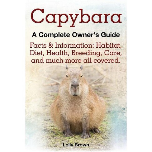 Capybara. Facts & Information - By Lolly Brown (paperback) : Target
