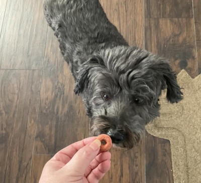 Bark Fruity Toot Loops Mixed Berry Flavor Blend Crunchy Dog Treats ...