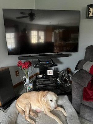 Samsung 2.0ch Soundbar With Built-in Woofer - Black (hw-c400) : Target