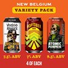 New Belgium Brewing Variety Pack - 12pk/12 Fl Oz Cans : Target