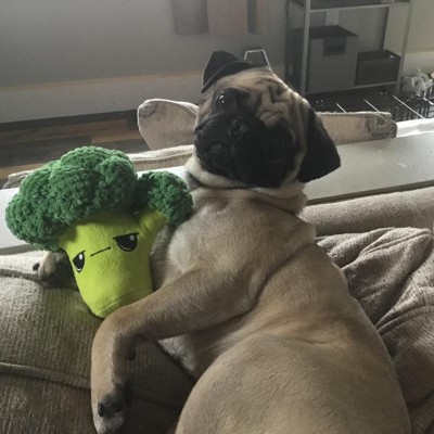 Bark Punk Brocc Broccoli Dog Toy : Target