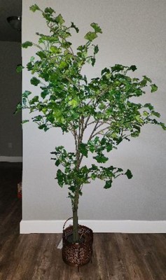 Vickerman 9' Artificial Potted Ginkgo Tree. In A 8"lx8"wx7"h Base. : Target