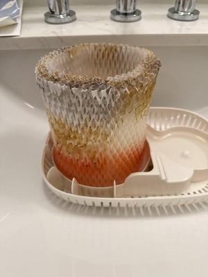 Canopy 4-in-1 Dishwasher Safe And Mold Inhibiting Humidifier - White ...