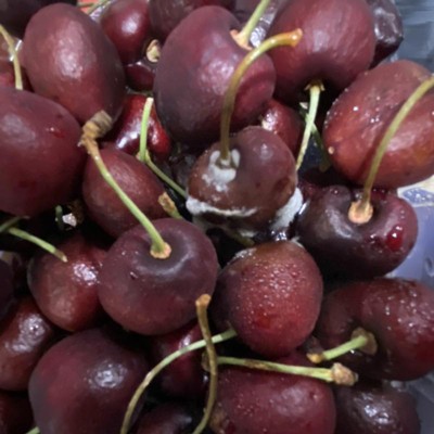 Sweet Red Cherries - 1lb : Target