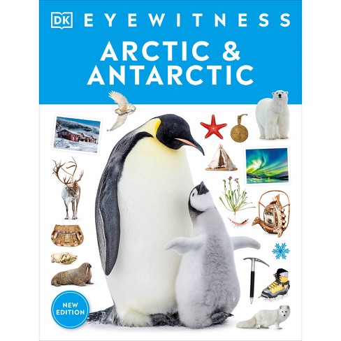 Eyewitness Arctic And Antarctic - (dk Eyewitness) By Dk (paperback) : Target