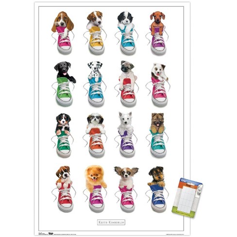 Trends International Keith Kimberlin - Puppies In Shoes Unframed Wall ...