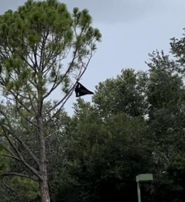 Sky Viper Vector Performance Stunt Jet : Target