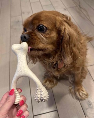Betterbone Soft Beef Nylon Free Dog Bone Chew Toy - S : Target