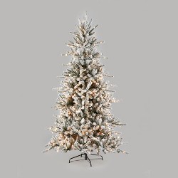 Christmas Trees : Target