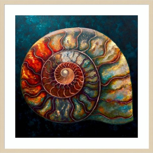 33" X 33" Ammonite Shell Layers Ii By Lee Campbell Wood Framed Wall Art ...