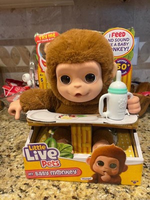 Little Live Pets My Baby Monkey - Mango : Target