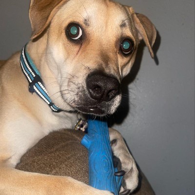 Long Rubber Stick With Crinkles Dog Toy - Blue - Boots & Barkley™ : Target