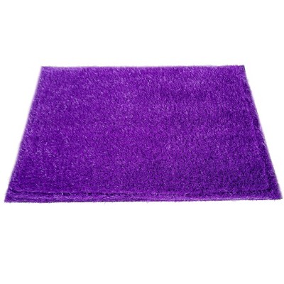 Paladin Mats - Signature Collection Mats - Indoor - Small, Amethyst ...