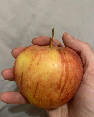 Organic Honeycrisp Apples - 2lb Bag - Good & Gather™ : Target