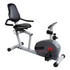 Sunny Health & Fitness Magnetic Smart Recumbent Exercise Bike - Black : Target