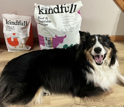 Beef And Vegetable Recipe Dry Dog Food - 13lbs - Kindfull™ : Target