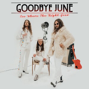 Goodbye June - See Where The Night Goes (Vinyl) : Target