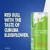 Red Bull Green Edition Energy Drink - 12 Fl Oz Can : Target