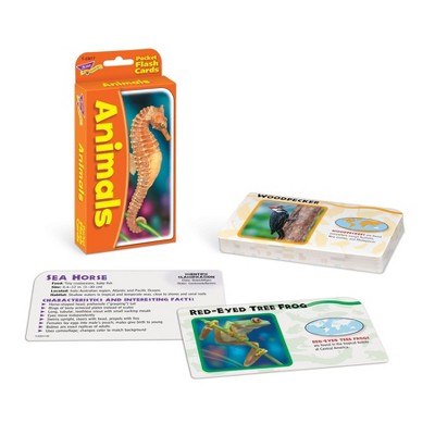 Trend Shapes & Colors Pocket Flash Cards : Target