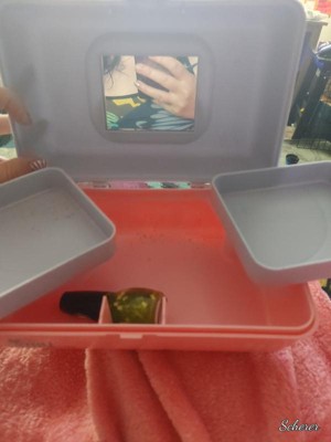 Caboodles Pretty In Petite Makeup Bag : Target