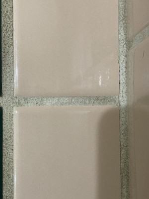 Wagner 915e On-demand Steam Cleaner With 18 Accessories: Electric ...