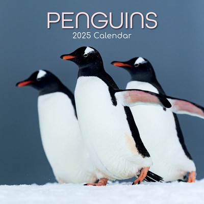 The Gifted Stationery 2025 Square Wall Calendar, Penguins 16-month ...