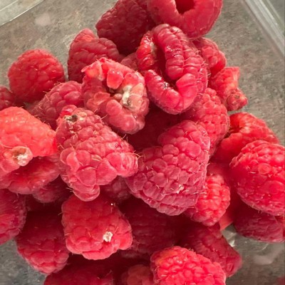 Raspberries - 12oz : Target