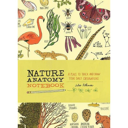 Nature Anatomy Notebook - By Julia Rothman (paperback) : Target