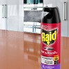 Raid Ant And Roach Killer Lavender Scent - 17.5oz : Target