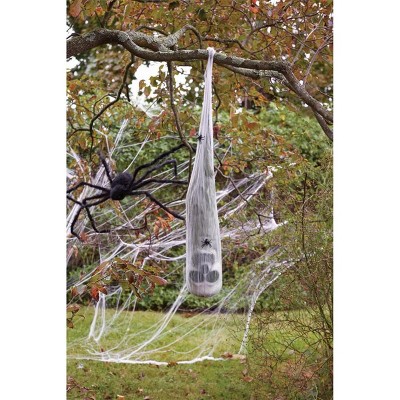 Funworld Skull In Spiderweb Cocoon Halloween Prop : Target