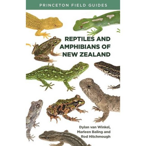 Reptiles And Amphibians Of New Zealand - (princeton Field Guides) By ...