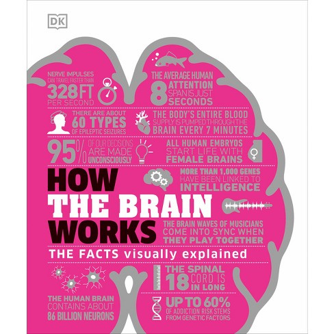 How The Brain Works - (dk How Stuff Works) By Dk (hardcover) : Target