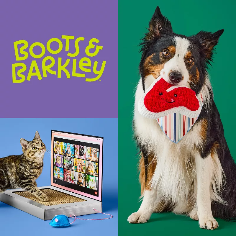 Pet Supplies Target