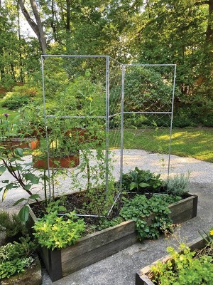 Gardener's Supply Company Zenith Trellis And Tower Combo | Sturdy ...