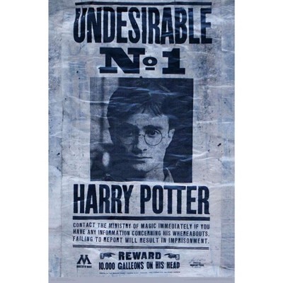 Trends International The Wizarding World: Harry Potter - Undesirable ...