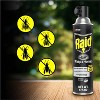 Raid Wasp And Hornet Bug Spray - 14oz/2ct : Target
